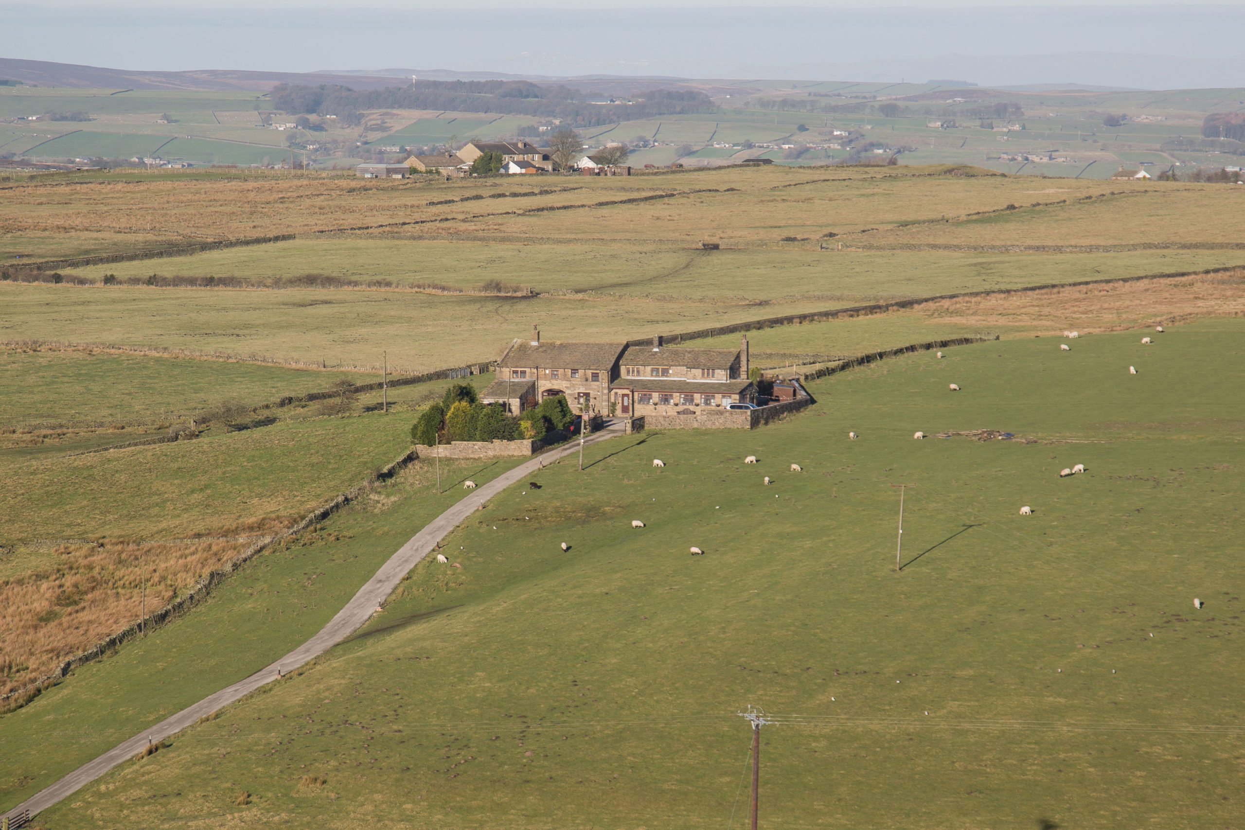 Whinny Hill Farm – Hobo Tom Photography