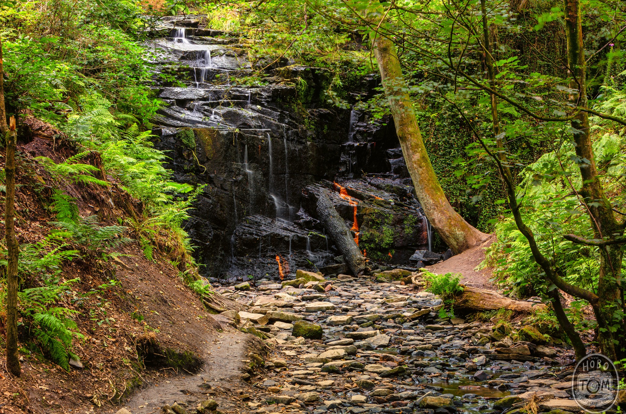 Folly Dolly Falls & Allen Brickworks - Hobo Tom Photography